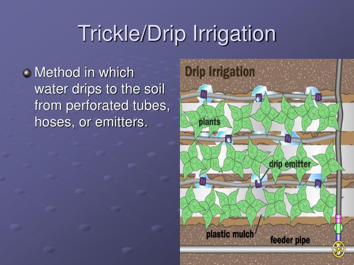 PPT - Irrigation and Engineering Design PowerPoint Presentation - ID ...