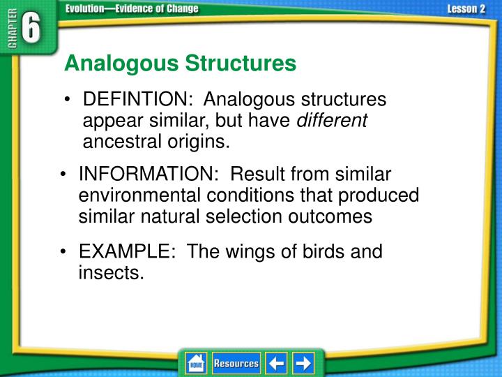 PPT - Fossil Record PowerPoint Presentation - ID:3100532