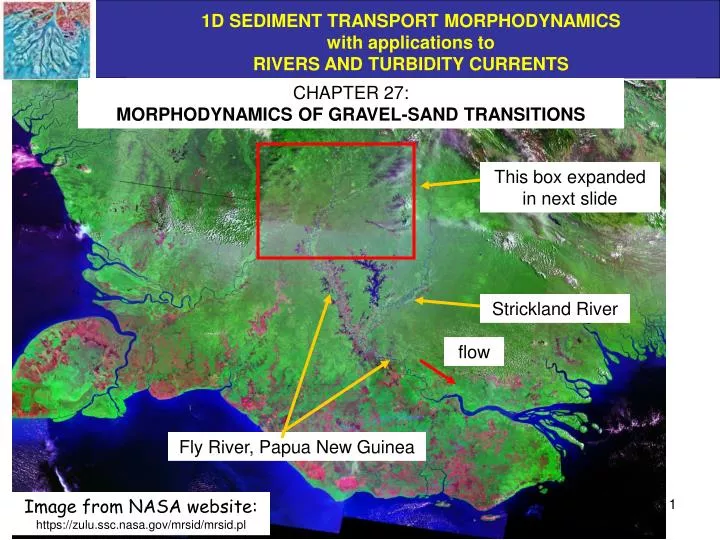 PPT - Fly River, Papua New Guinea PowerPoint Presentation, free ...