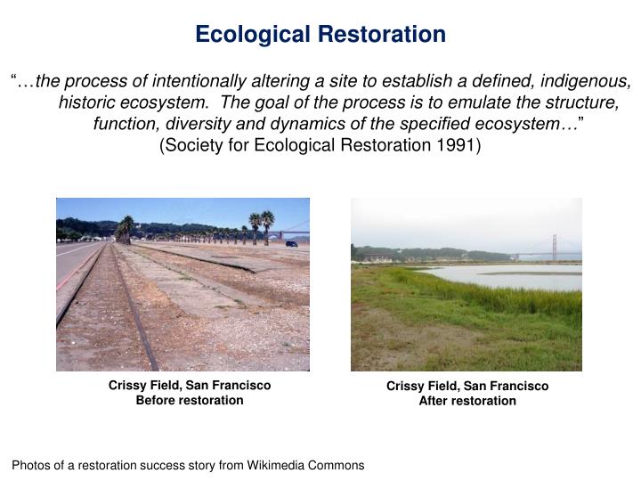 PPT - Ecological Restoration PowerPoint Presentation - ID:3100609