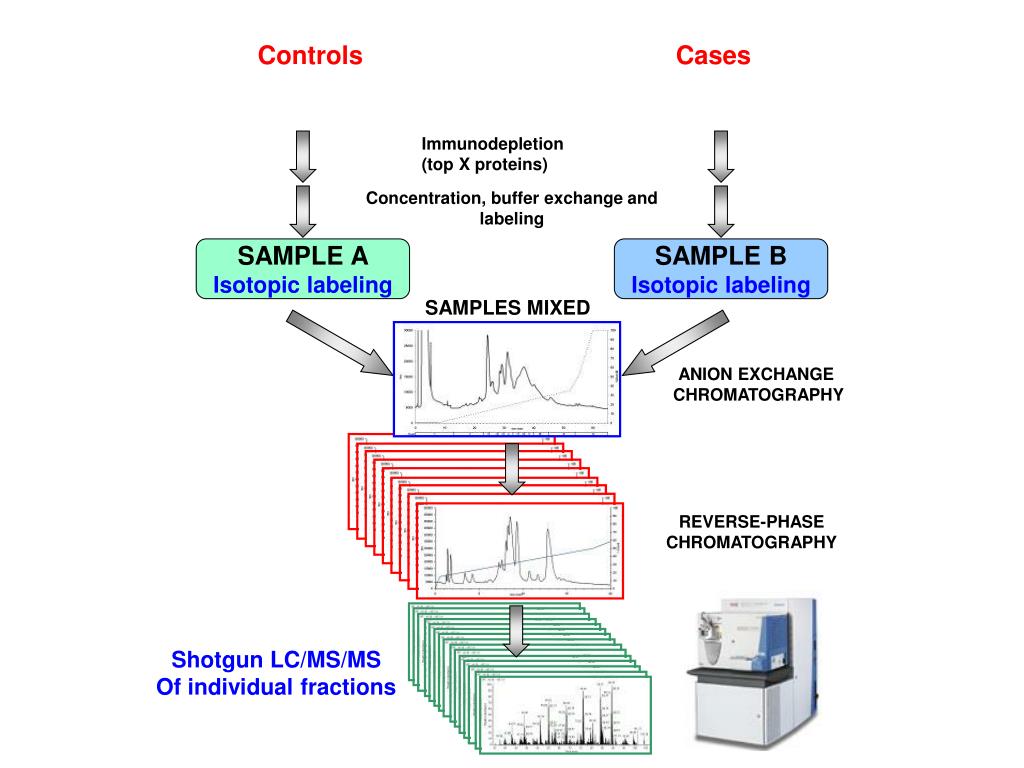 PPT - Blood Proteomics and Cancer Biomarkers Sam Hanash PowerPoint ...