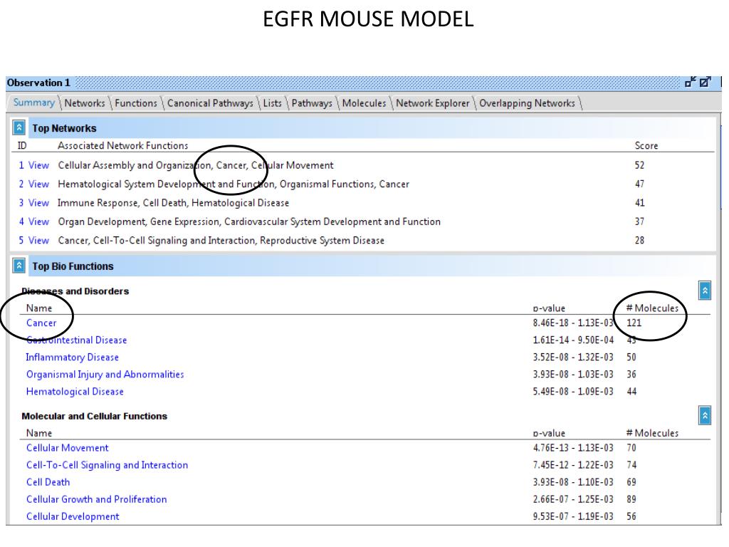 PPT - Blood Proteomics and Cancer Biomarkers Sam Hanash PowerPoint ...