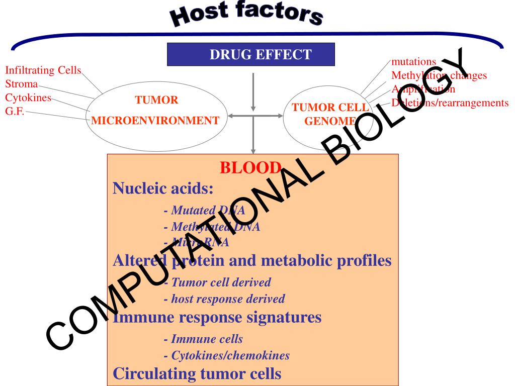PPT - Blood Proteomics and Cancer Biomarkers Sam Hanash PowerPoint ...