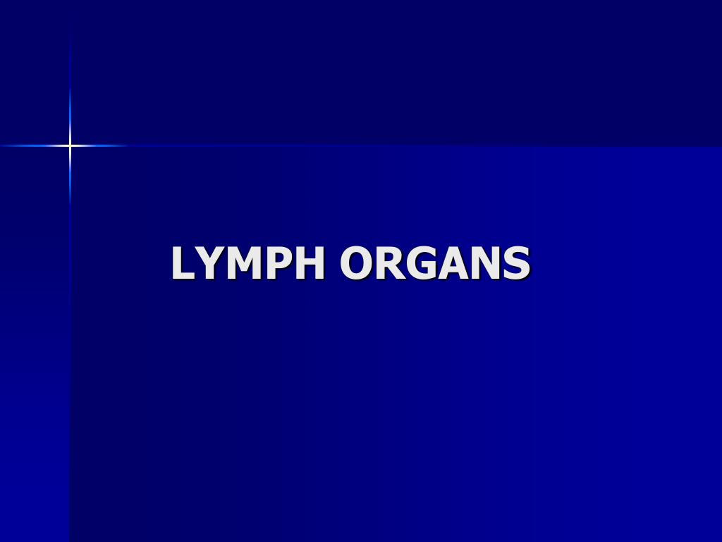 Ppt Lymphatic System Powerpoint Presentation Free Download Id 3101214