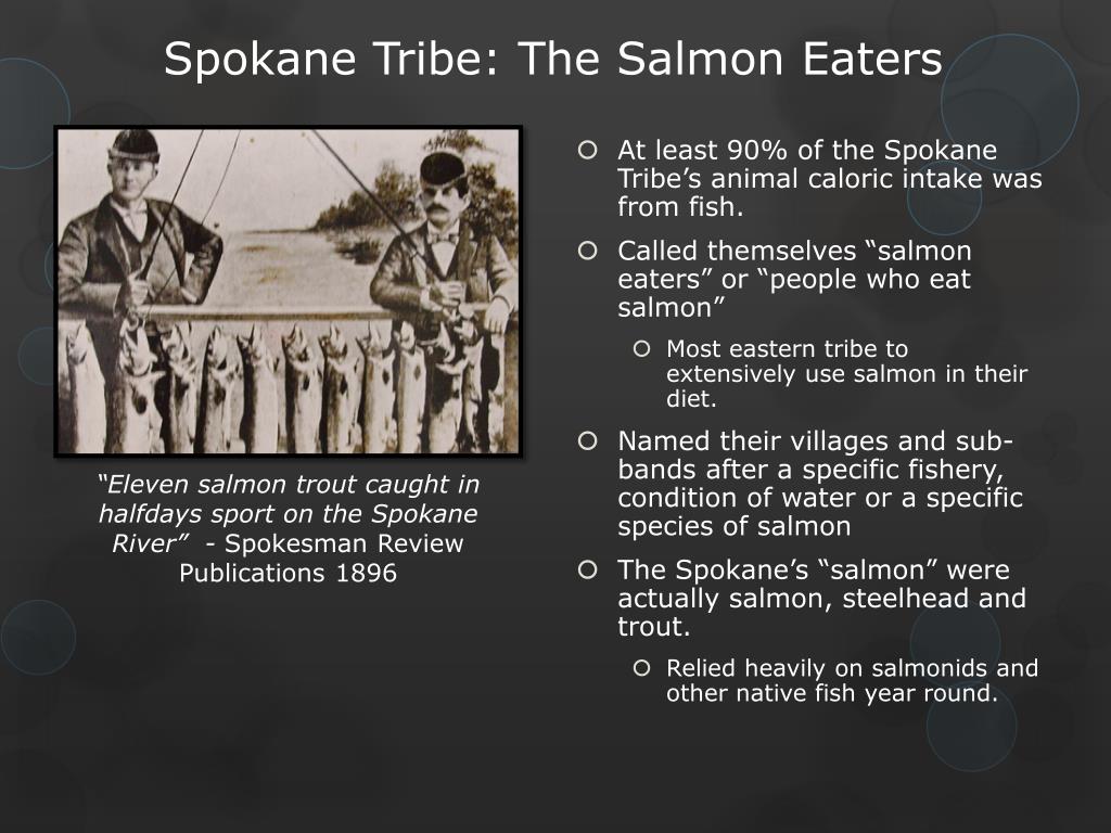 PPT - Redband Trout: Cultural Past, Present and Future PowerPoint ...