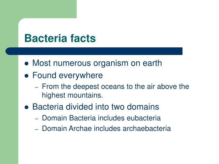 PPT - Bacteria PowerPoint Presentation - ID:3101722