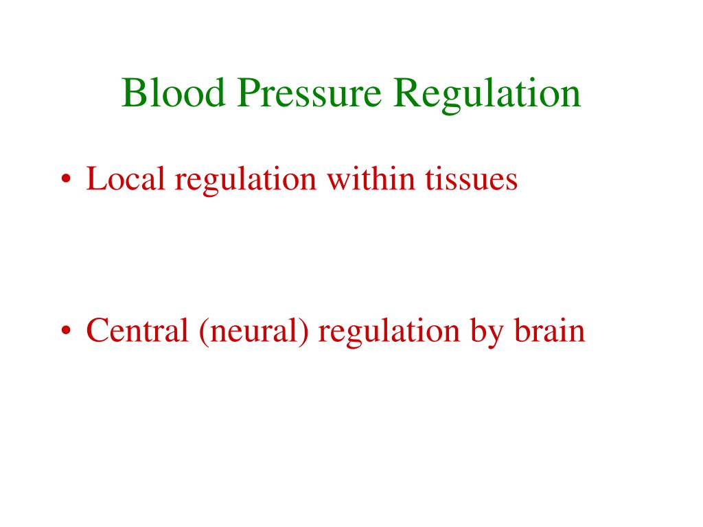 PPT - Chapter 21 The Cardiovascular System: Blood Vessels and ...