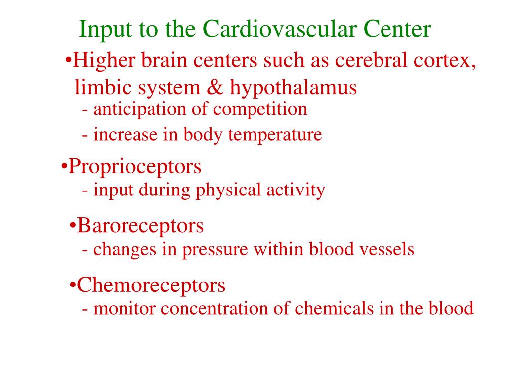 PPT - Chapter 21 The Cardiovascular System: Blood Vessels and ...