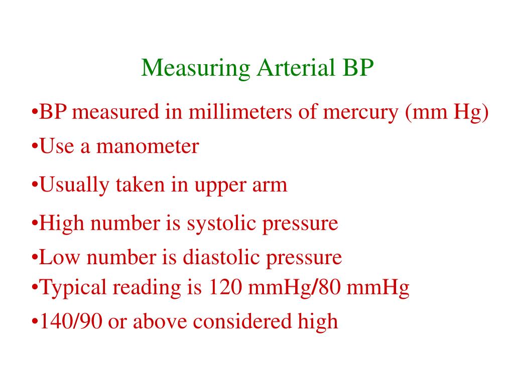 PPT - Chapter 21 The Cardiovascular System: Blood Vessels and ...
