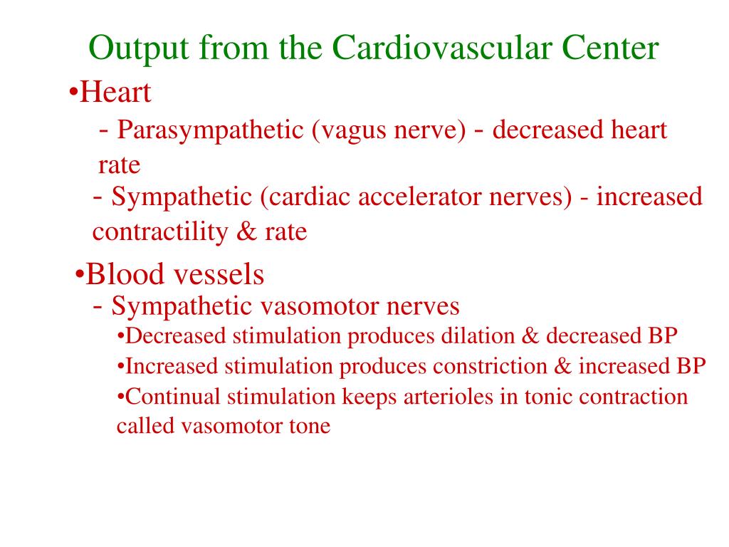 PPT - Chapter 21 The Cardiovascular System: Blood Vessels and ...