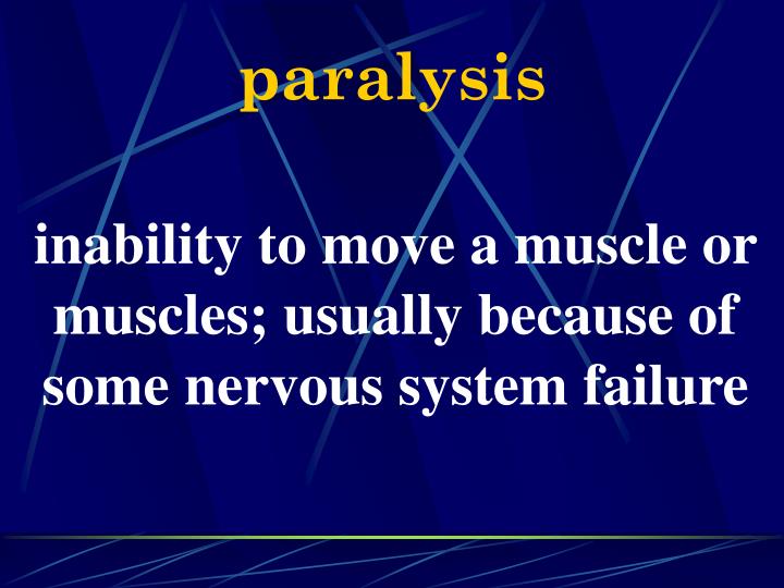 PPT - THE MUSCULAR SYSTEM PowerPoint Presentation - ID:3102019