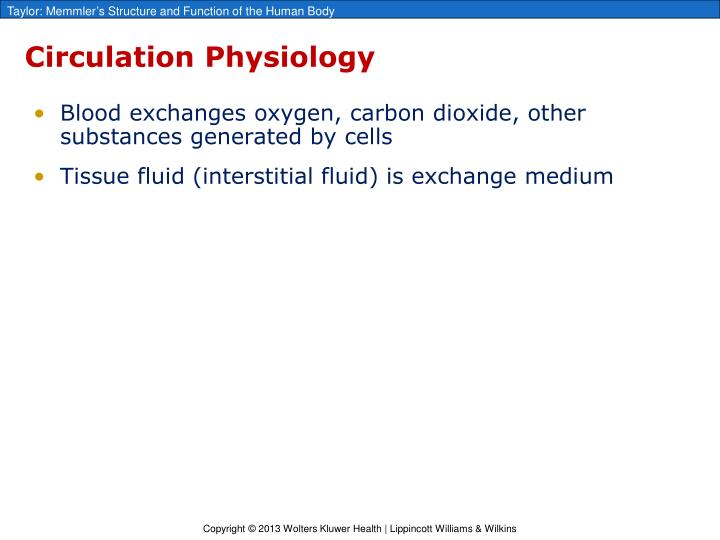 PPT - Chapter 14: Blood Vessels and Blood Circulation PowerPoint ...
