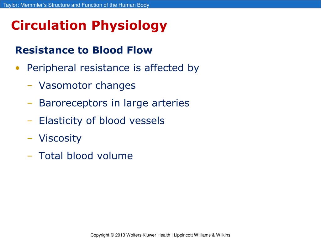 PPT - Chapter 14: Blood Vessels and Blood Circulation PowerPoint ...