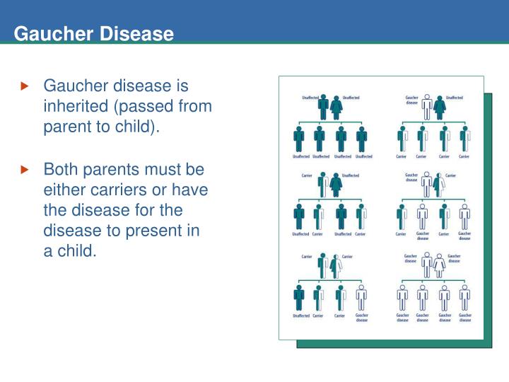 PPT - Gaucher Disease PowerPoint Presentation - ID:3102074