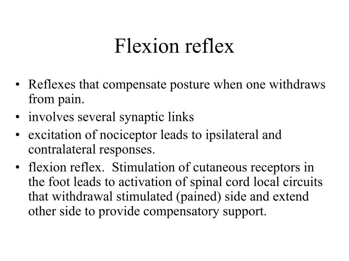 PPT - 1)Action Potential in Motor Axon 2) End Plate Potential at ...