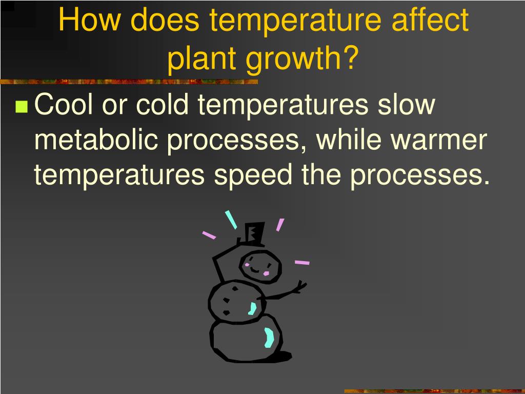 PPT - Plant Biology and Production PowerPoint Presentation, free ...