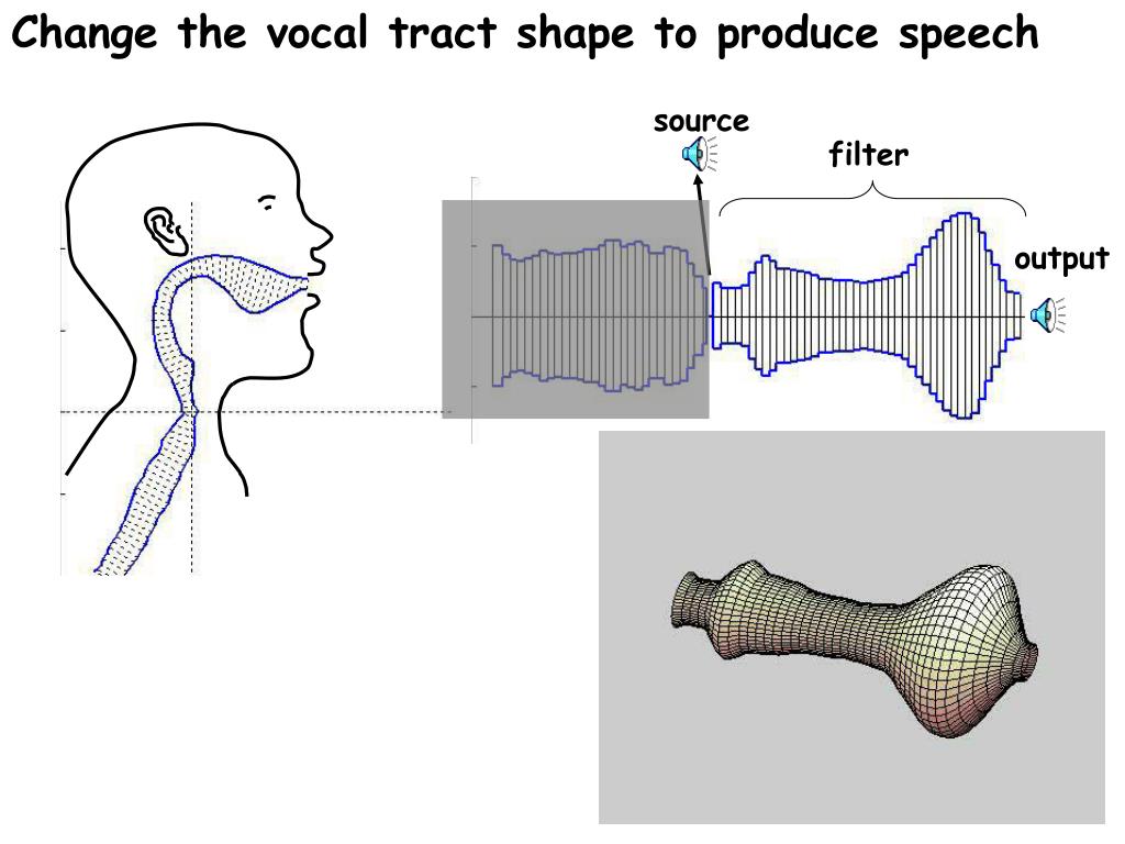 PPT - Mathematical Model of Human Sound Production and Vocal Quality ...