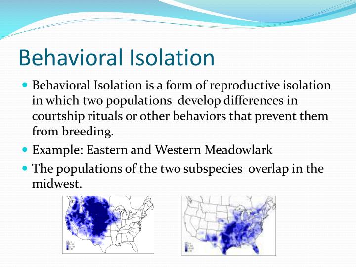 PPT - 17.3 The Process of Speciation PowerPoint Presentation - ID:3102952