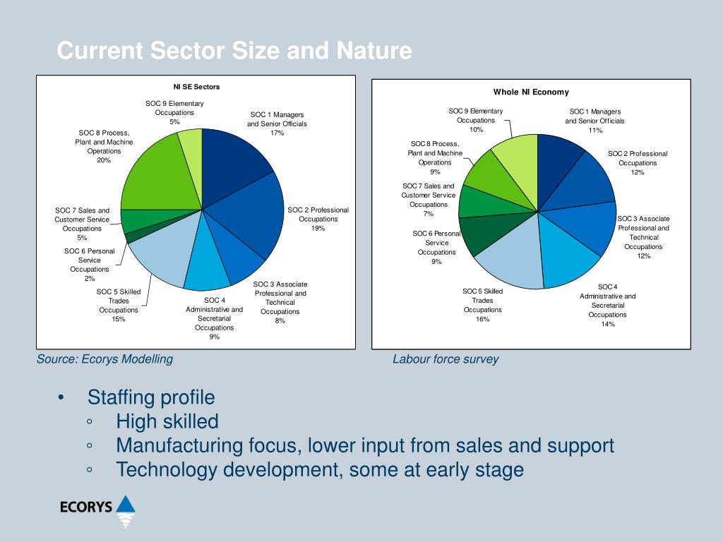 PPT - Skills required to support potential economic growth in the NI ...