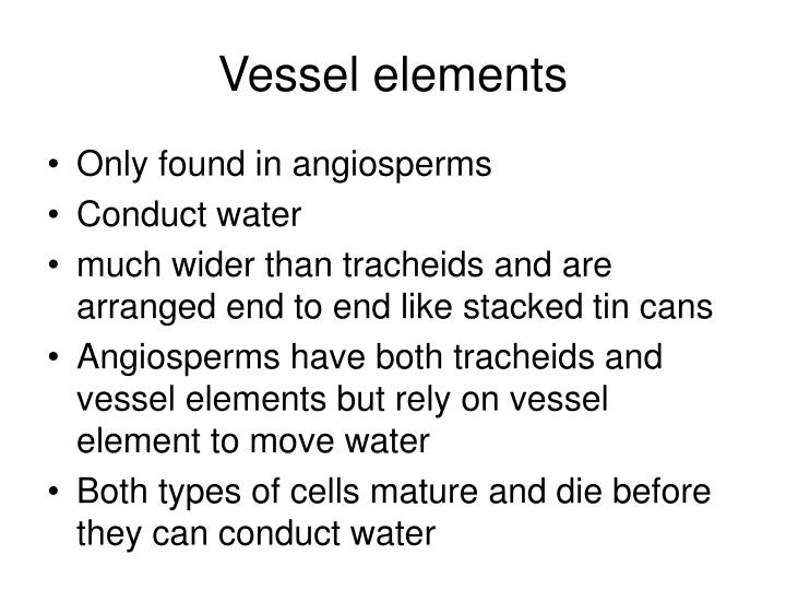 PPT - 23.1 Specialized Tissues in Plants PowerPoint Presentation - ID ...