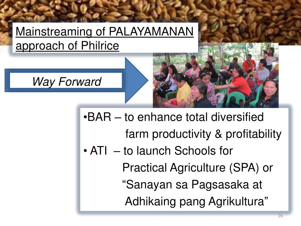 PPT - AGRICULTURE AND FISHERIES 2025 MID-YEAR CONFERENCE: ASSESSMENT ...