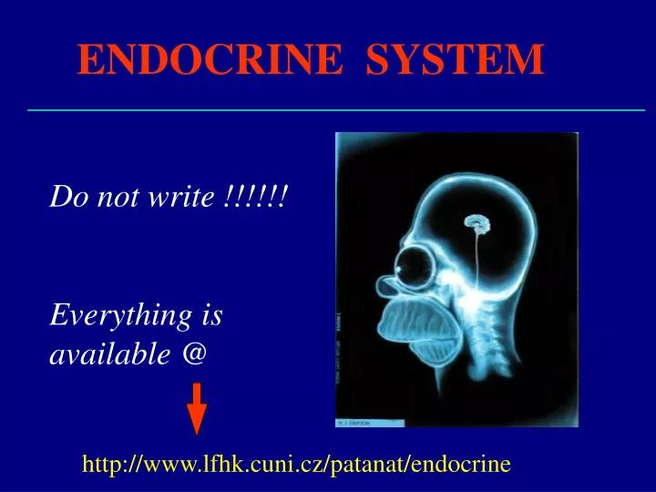 PPT - ENDOCRINE SYSTEM PowerPoint Presentation, free download - ID:3103346