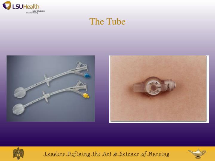 PPT - Nursing Care of People Who Have Developmental Disabilities ...