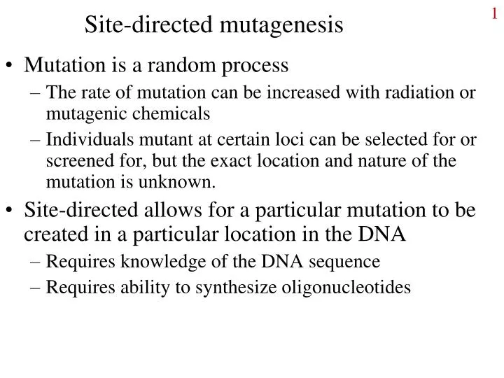 PPT - Site-directed mutagenesis PowerPoint Presentation, free download ...