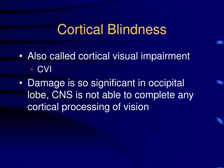 PPT - Anatomy/Neuro-Anatomy of the Visual System PowerPoint ...