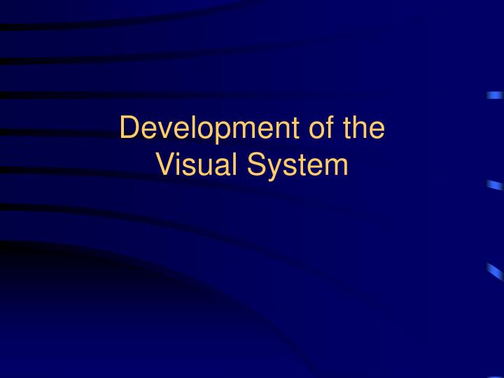 PPT - Anatomy/Neuro-Anatomy of the Visual System PowerPoint ...