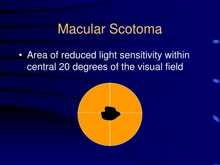 PPT - Anatomy/Neuro-Anatomy of the Visual System PowerPoint ...