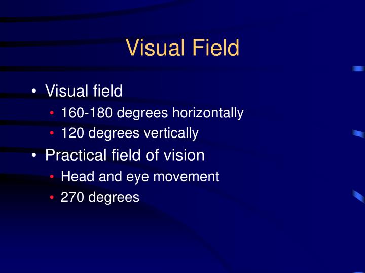 PPT - Anatomy/Neuro-Anatomy of the Visual System PowerPoint ...