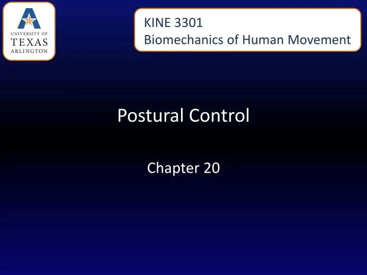 PPT - Postural Control PowerPoint Presentation, free download - ID:3104608