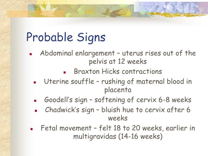 PPT - Pregnancy & Prenatal Care PowerPoint Presentation - ID:3104628