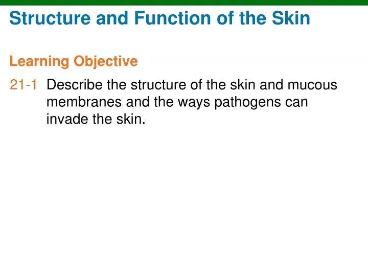 PPT - Structure and Function of the Skin PowerPoint Presentation, free ...