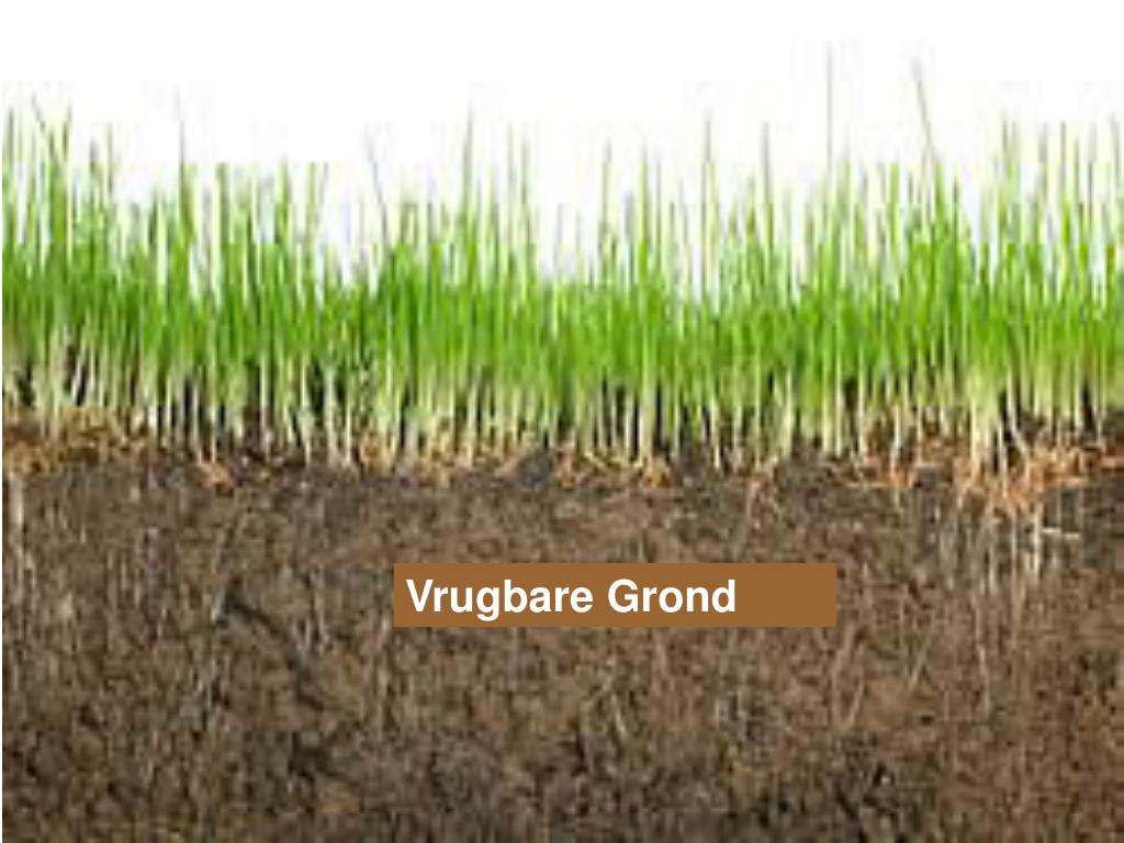 PPT - BAIE WELKOM Mag ons almal hierdie oggend geniet PowerPoint ...