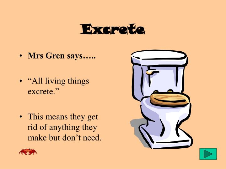 PPT - Living things PowerPoint Presentation - ID:3104996