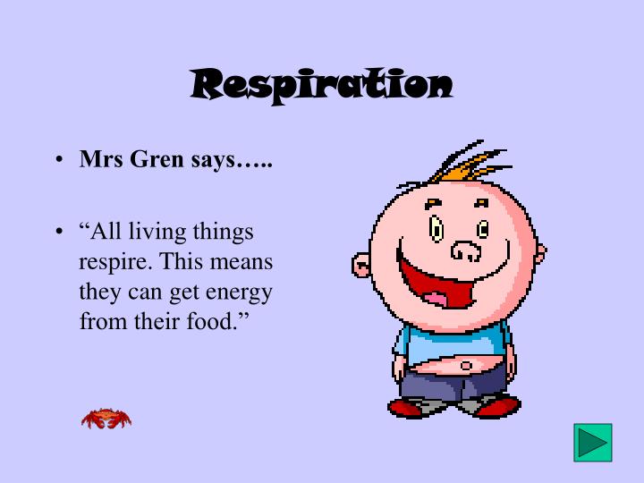 PPT - Living things PowerPoint Presentation - ID:3104996