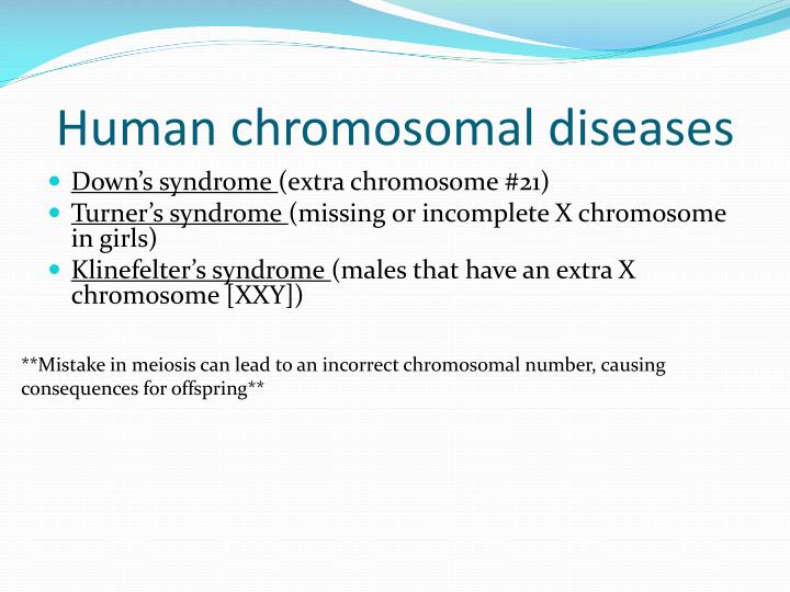 PPT - MITOSIS VS. MEIOSIS PowerPoint Presentation - ID:3105399