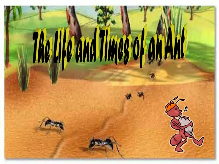 PPT - The Life and Times of an Ant PowerPoint Presentation, free ...