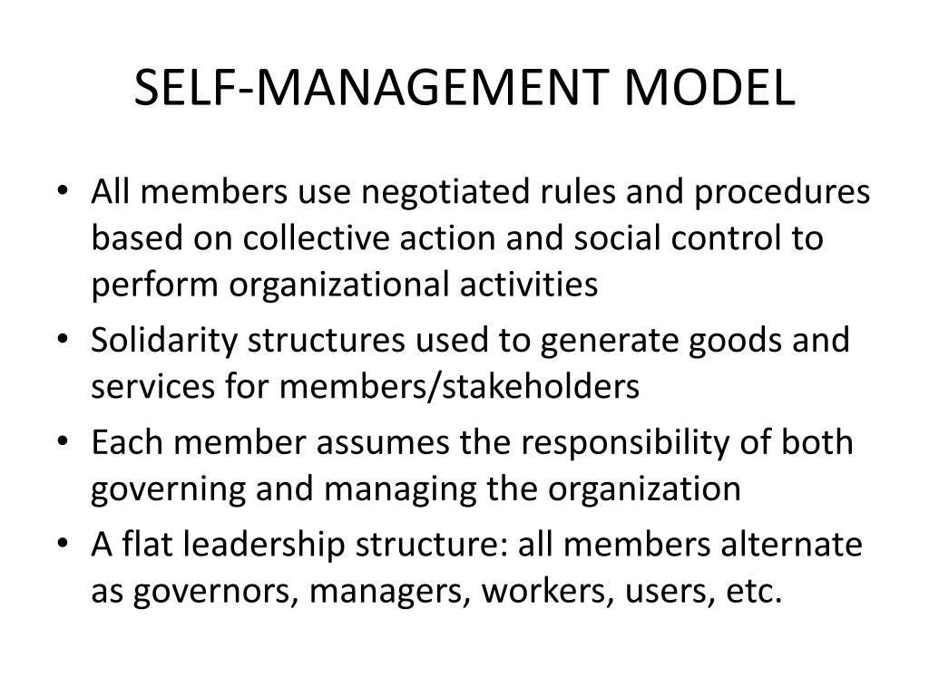 PPT - GOVERNANCE AND MANAGEMENT OF SOCIAL AND SOLIDARITY ECONOMY ...