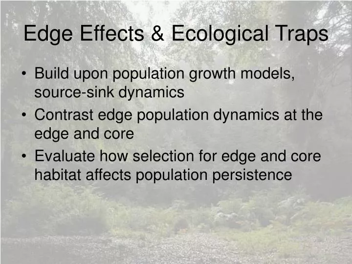 PPT - Edge Effects & Ecological Traps PowerPoint Presentation, free ...