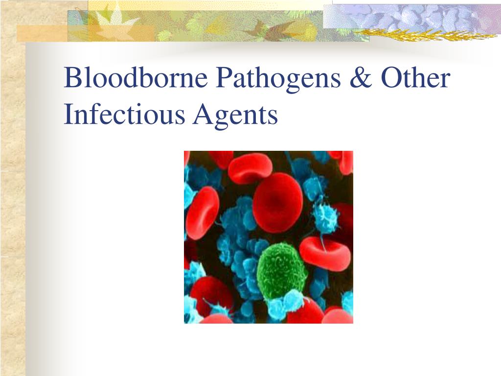 PPT - La Salle University School of Nursing PowerPoint Presentation ...