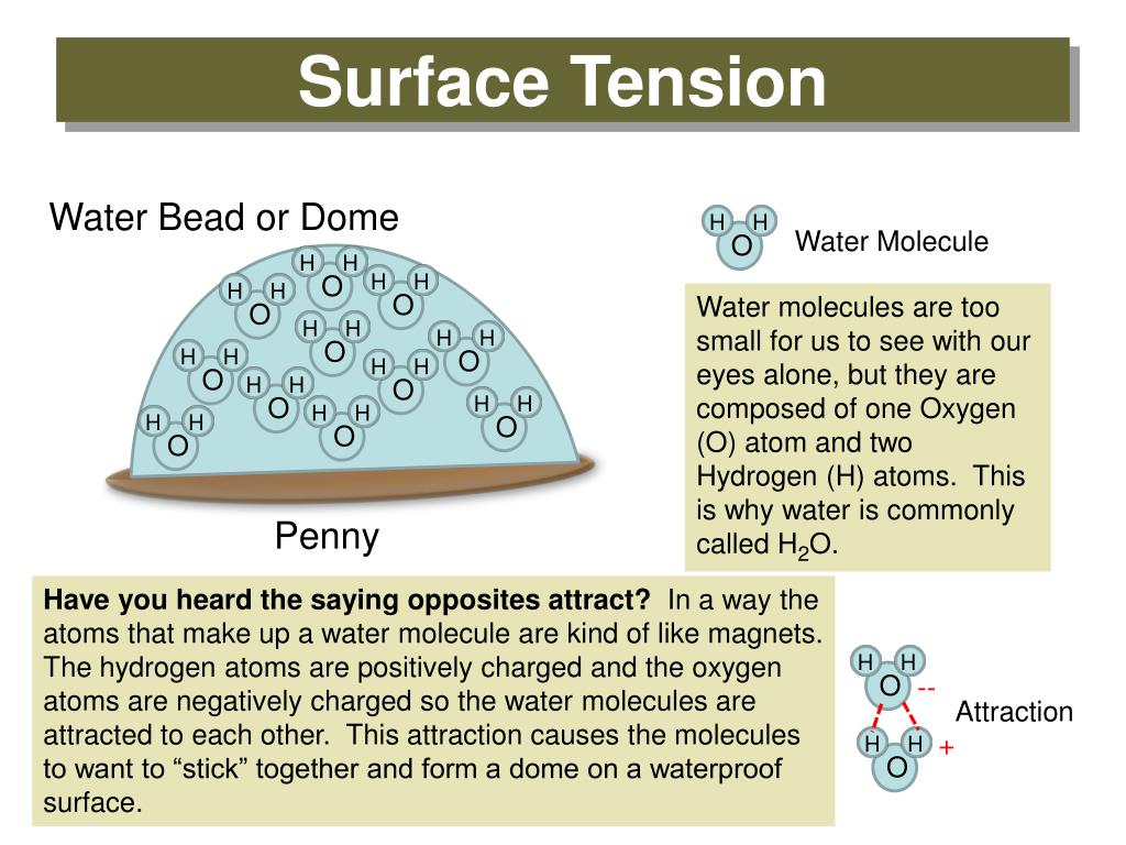 What Causes Surface Tension In Water What Causes Surface Tension In Water