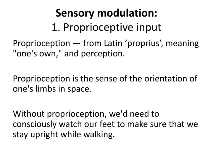 PPT - How does our sensory system work? Sensory integration PowerPoint ...