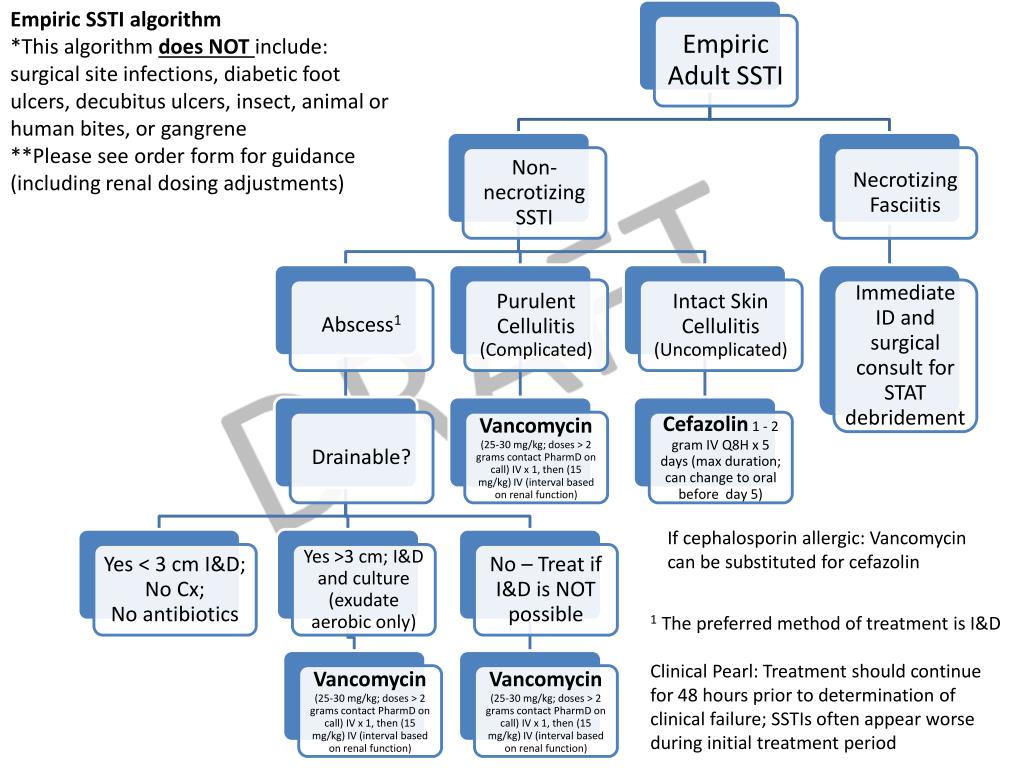 PPT - Empiric SSTI algorithm PowerPoint Presentation, free download ... PPT - Empiric SSTI algorithm PowerPoint Presentation, free download ...