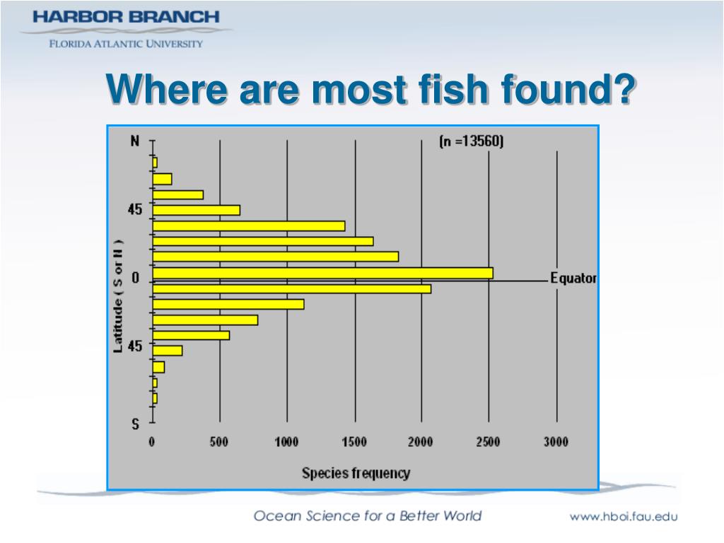 PPT - Biology of Cultured Fish PowerPoint Presentation, free download ...