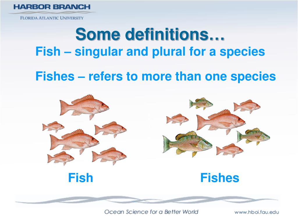 PPT - Biology of Cultured Fish PowerPoint Presentation, free download ...