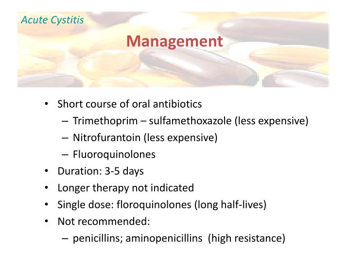 PPT - BLADDER INFECTION PowerPoint Presentation - ID:3107593