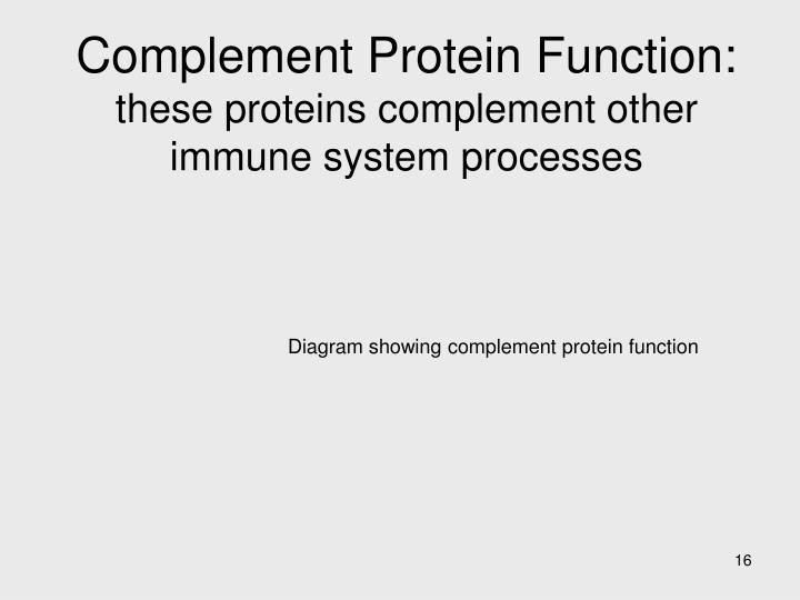PPT - Lecture #12 – Animal Immune Systems PowerPoint Presentation - ID ...